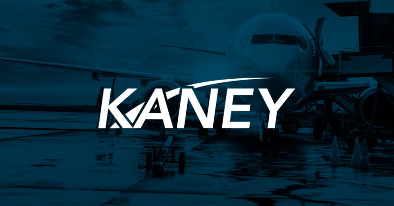 Case Studies Archives | Kaney